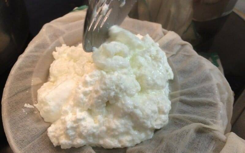 Queso Ricotta, hacerlo en casa es muy fácil | Primeros
